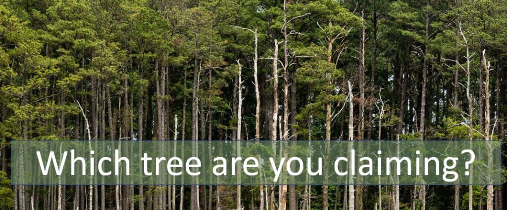 Trees for the Forest: Claiming Endpoints of a Range and Written ...