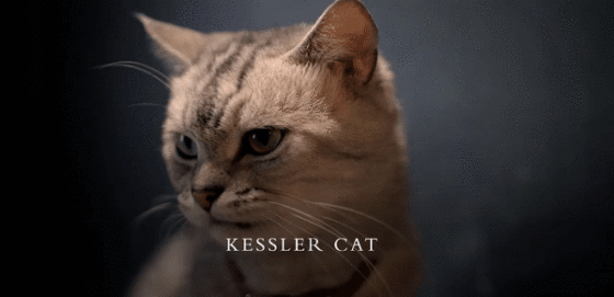 Resorbing Patent Law's Kessler Cat - Request for Comments